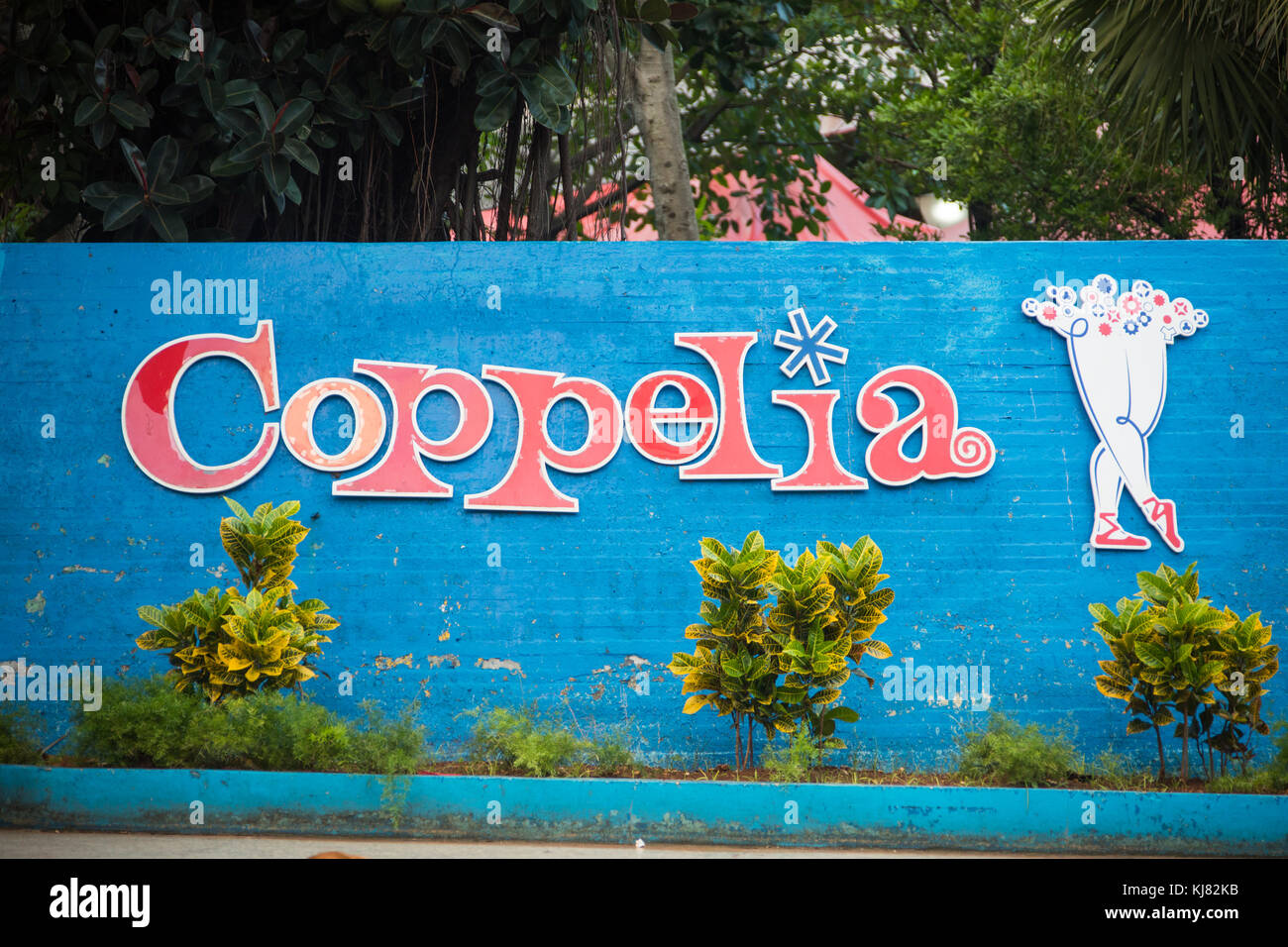Coppelia hi-res stock photography and images - Alamy