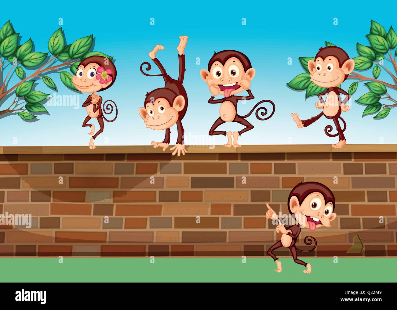 Five monkeys hi-res stock photography and images - Alamy