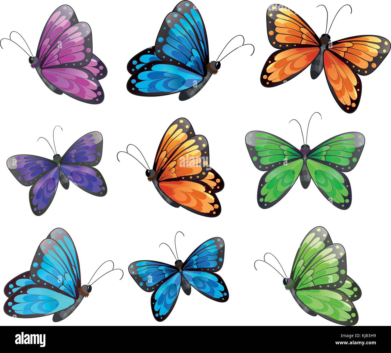 Veins on wing Stock Vector Images - Alamy