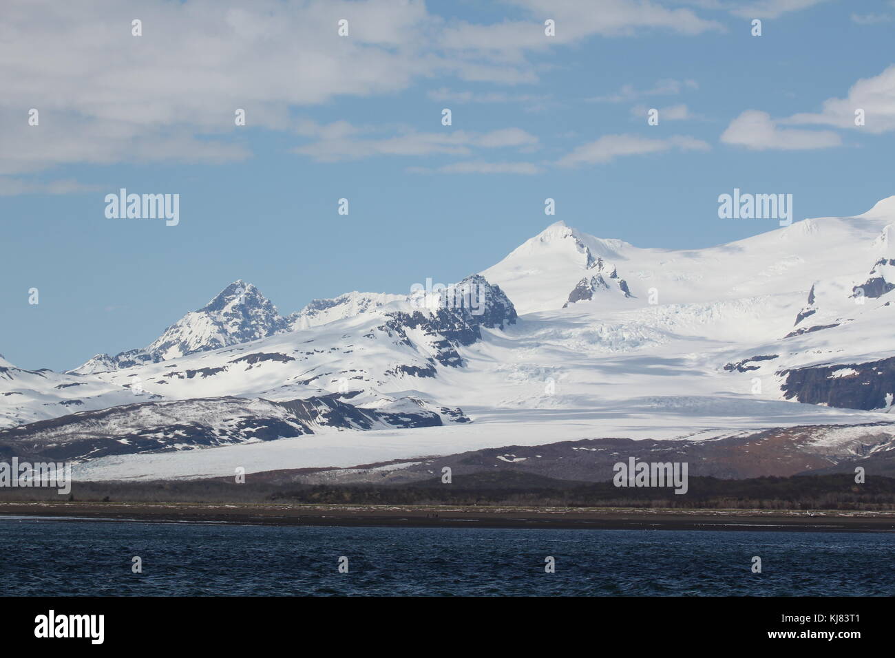 Bear glacier bay hi-res stock photography and images - Alamy
