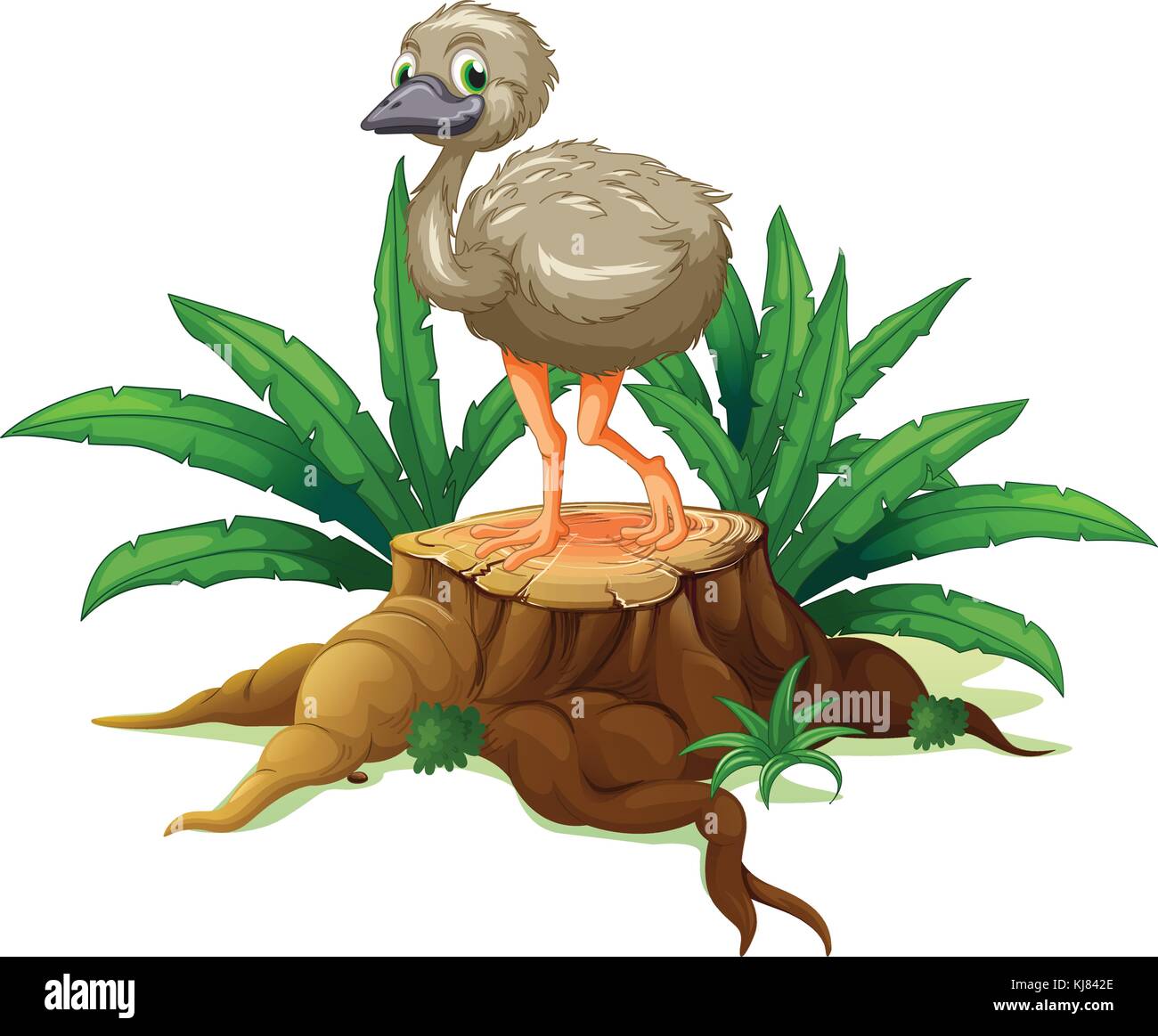 Long tree trunk on Stock Vector Images - Alamy