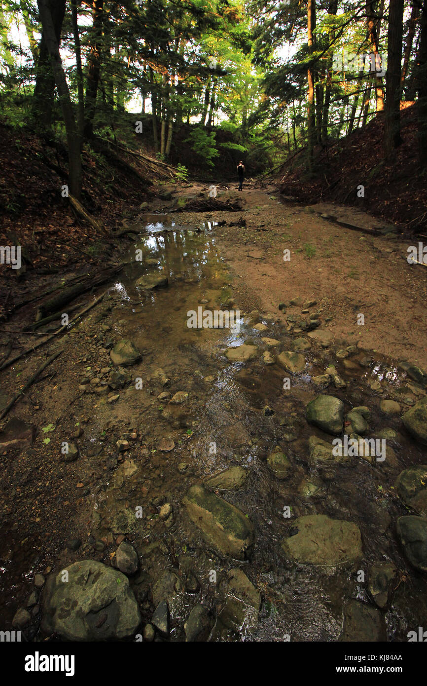 Explore michigan hi-res stock photography and images - Alamy