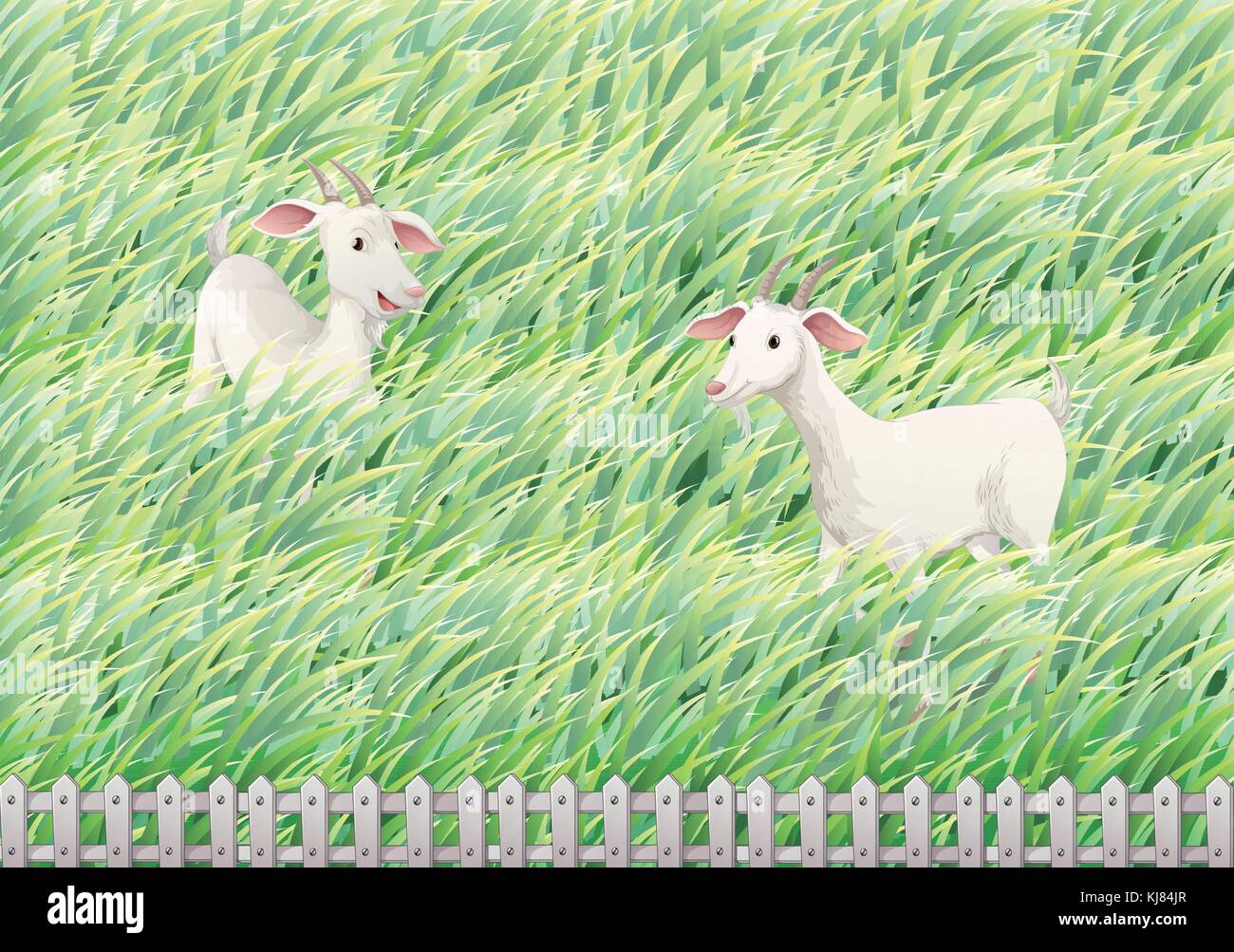 Illustration of the two goats in the farm Stock Vector Image & Art - Alamy