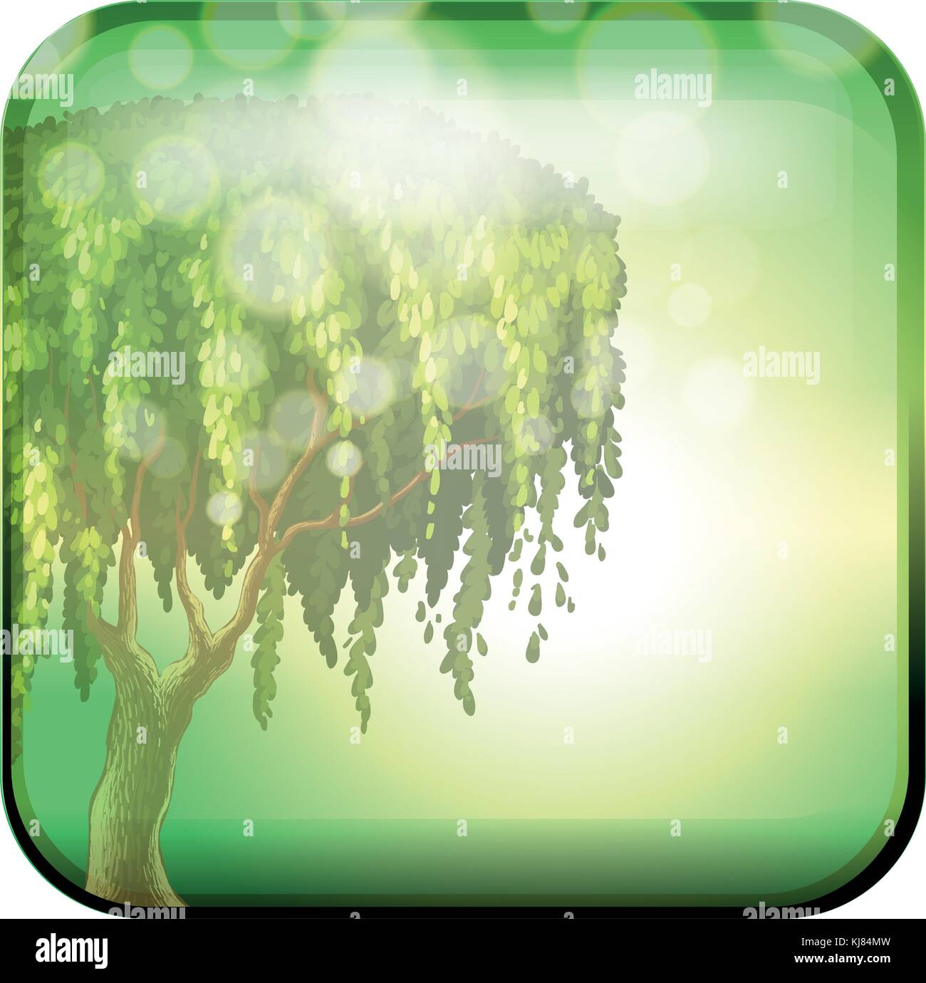 Illustration of a tree inside a green square on a white background ...