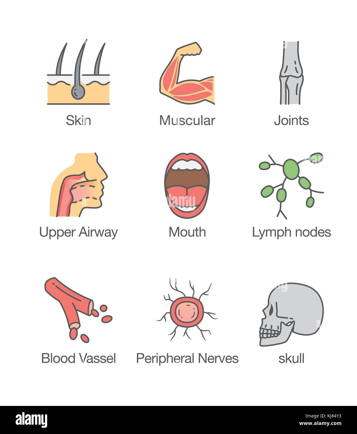 Human resource vector concept Cut Out Stock Images & Pictures - Alamy