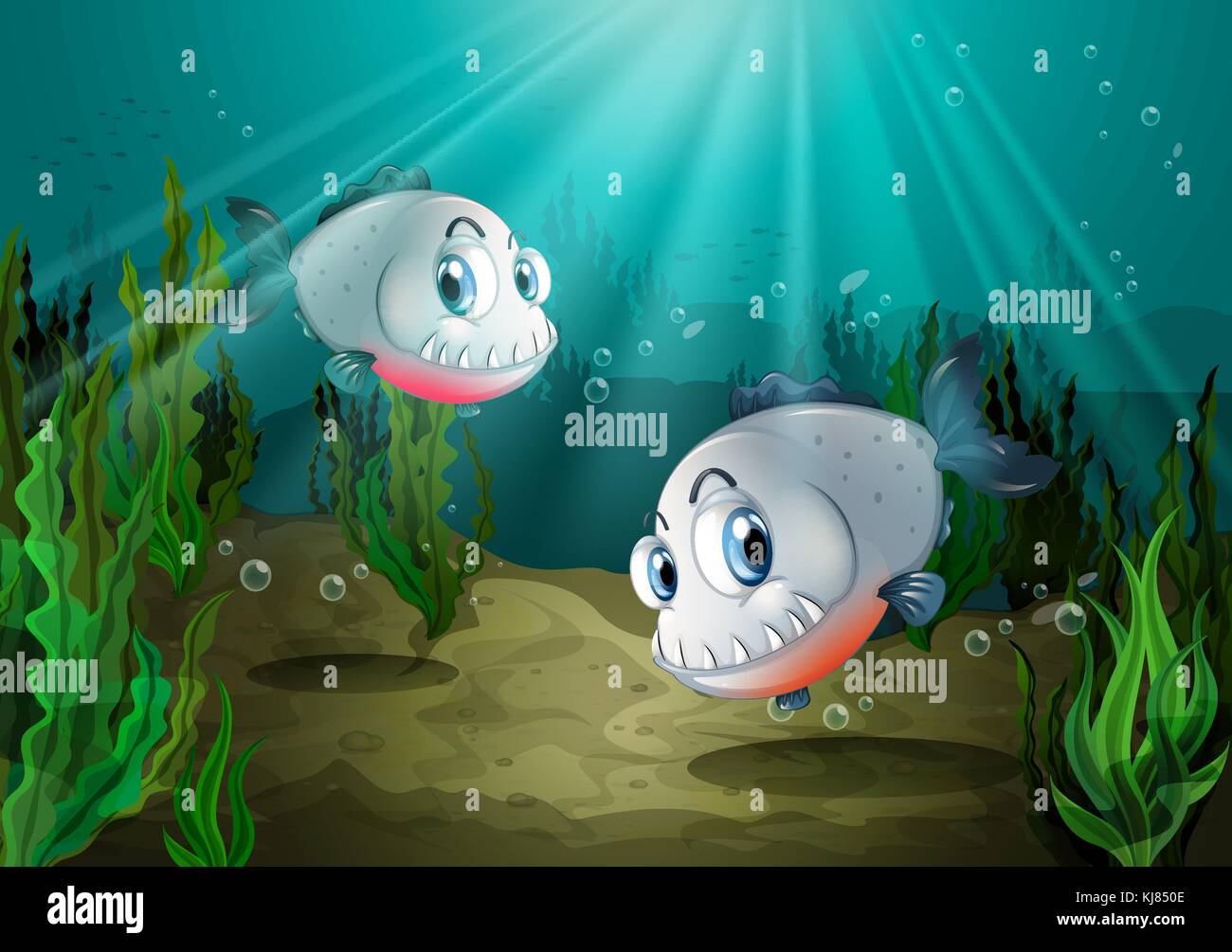 Illustration of the two fishes with sharp teeth under the sea Stock ...