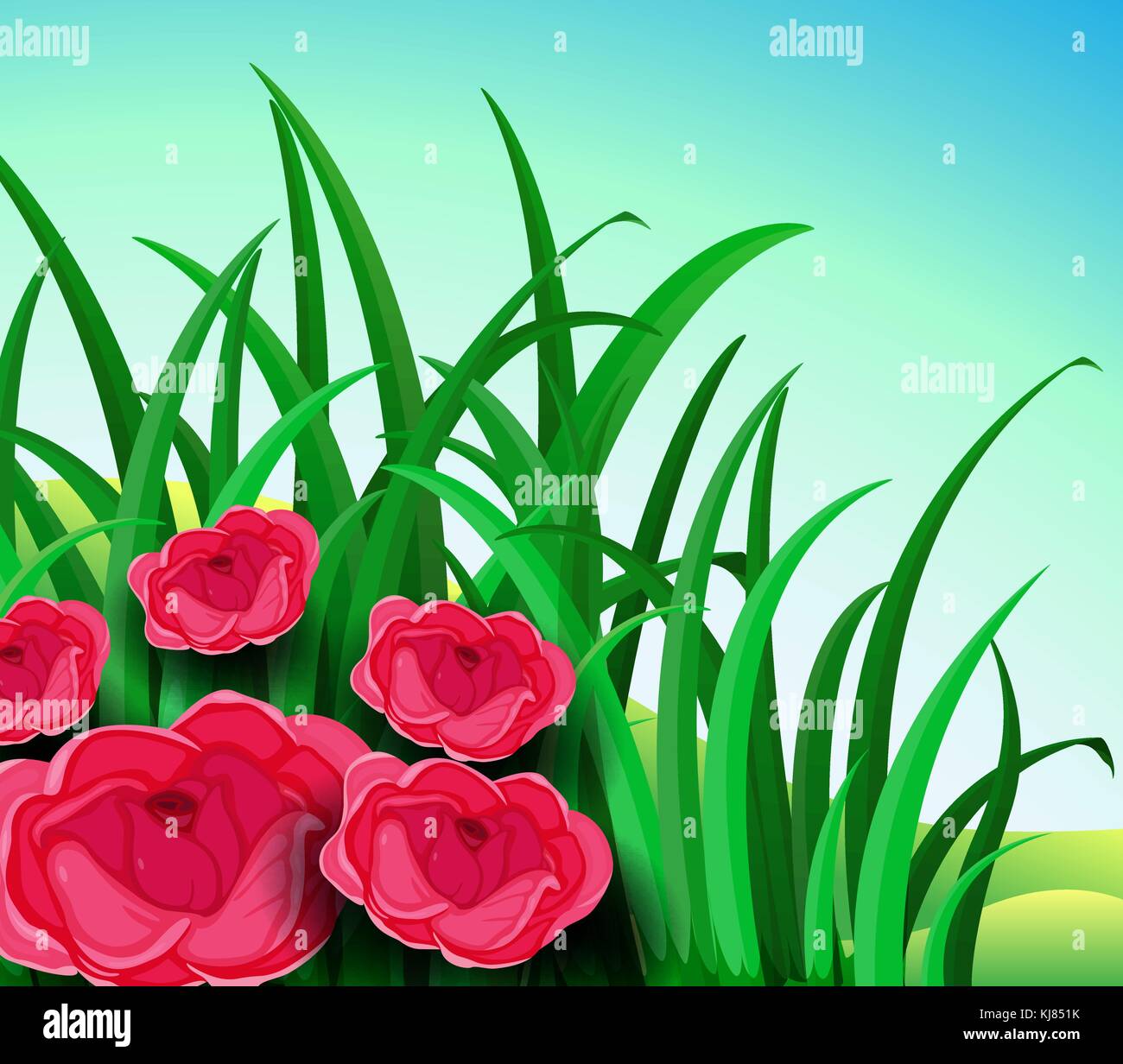 Illustration of the five red roses in the garden Stock Vector Image ...