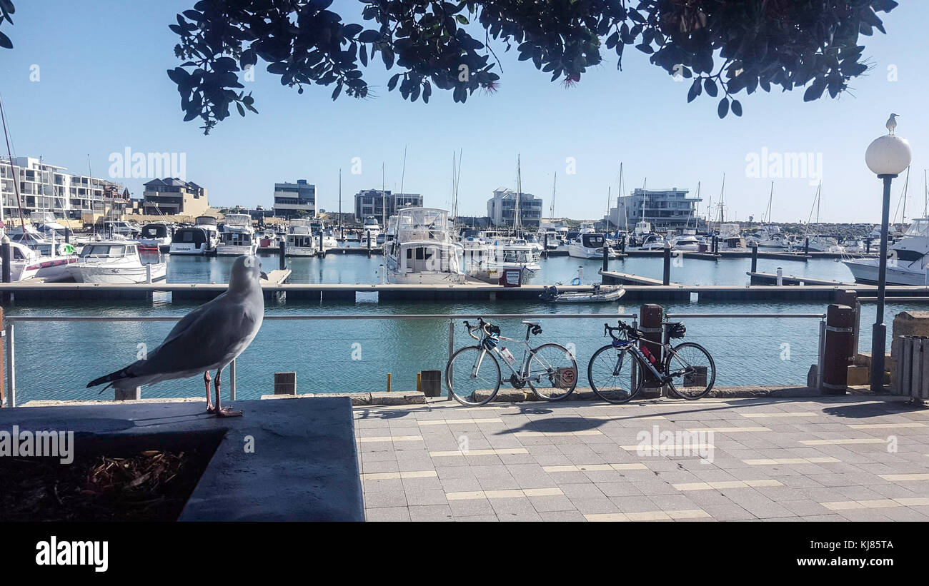 Perth waterfront hi-res stock photography and images - Alamy