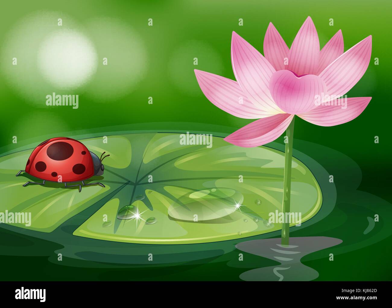 Pink waterlily lotus green Stock Vector Images - Alamy