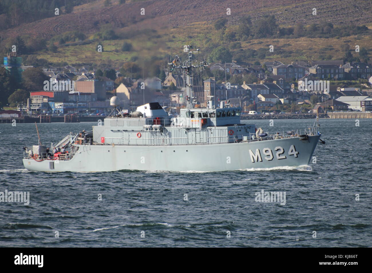 Bns primula m924 flower class tripartite hi-res stock photography and ...