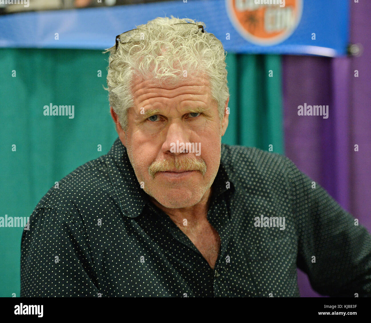 FORT LAUDERDALE, FL - DECEMBER 10: Ron Perlman attends Comic Con held ...