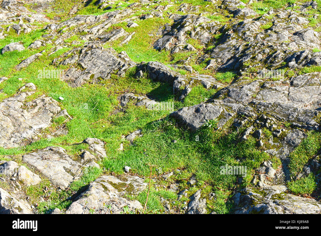 Green grass grows amongst the boulders on the hill overlooking the ...