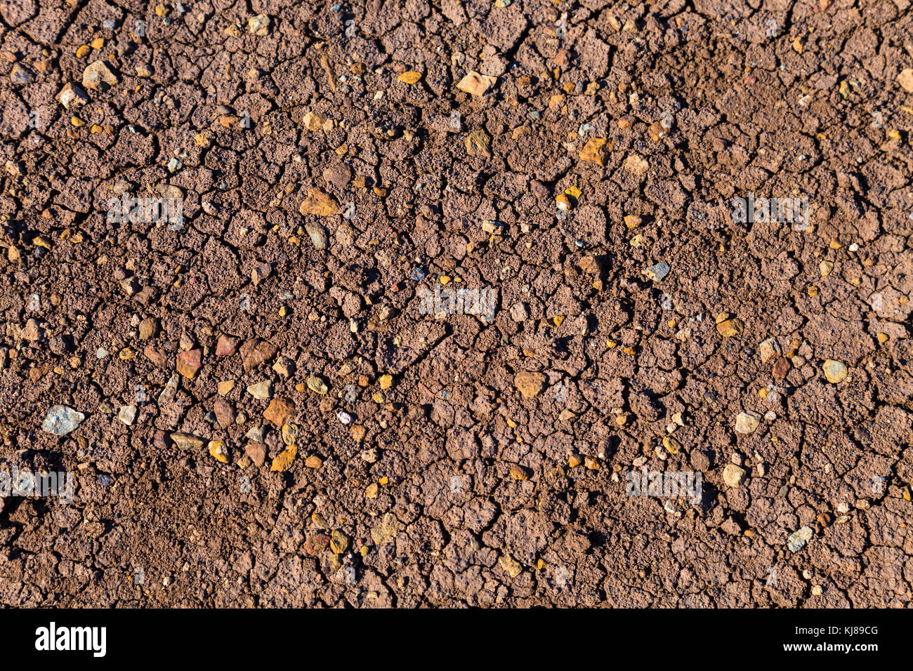 Cracked dry soil (Sao Lourenco, Madeira, Portugal Stock Photo - Alamy