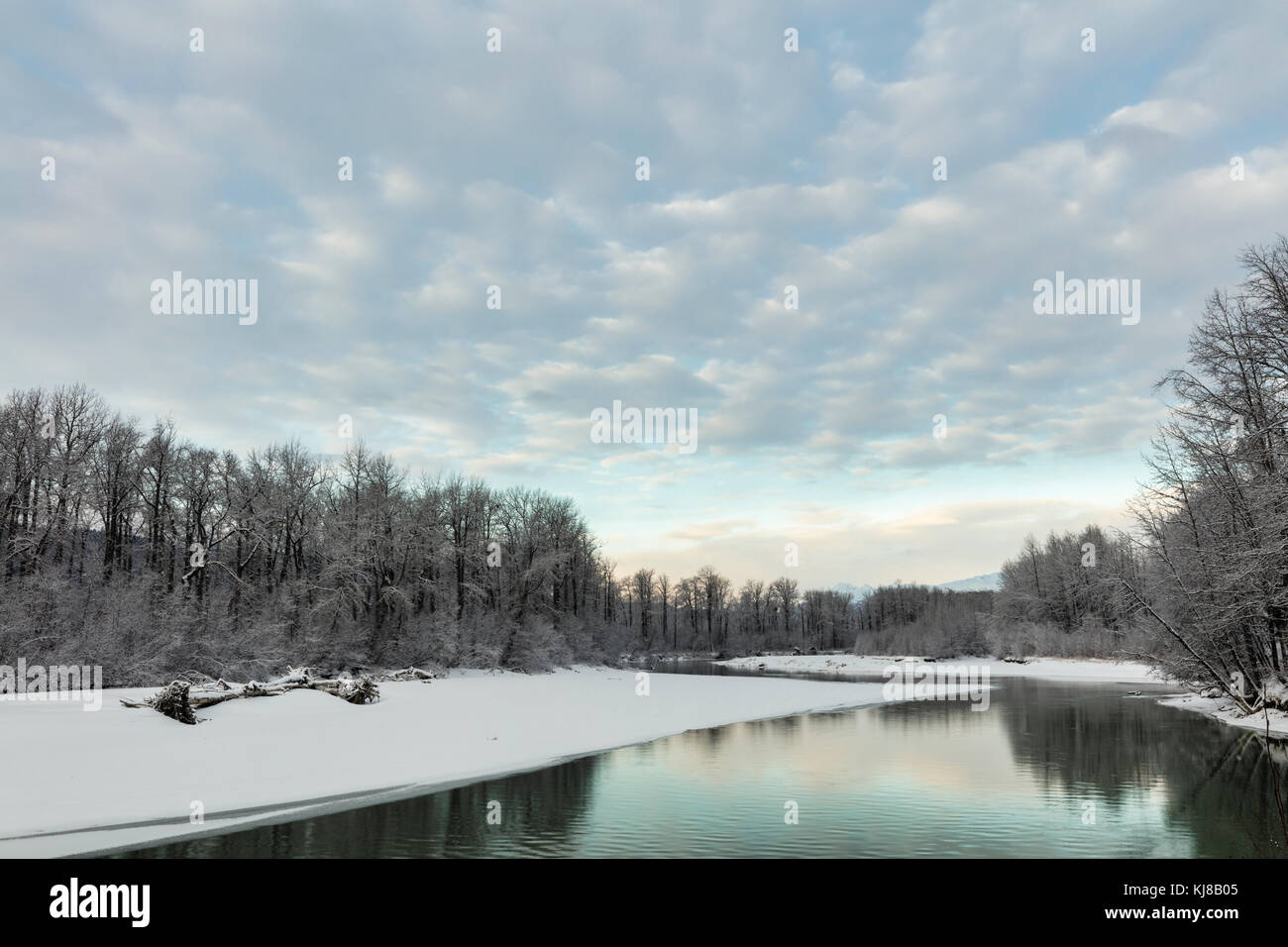 Alaska chilkat bald eagle preserve hi-res stock photography and images ...