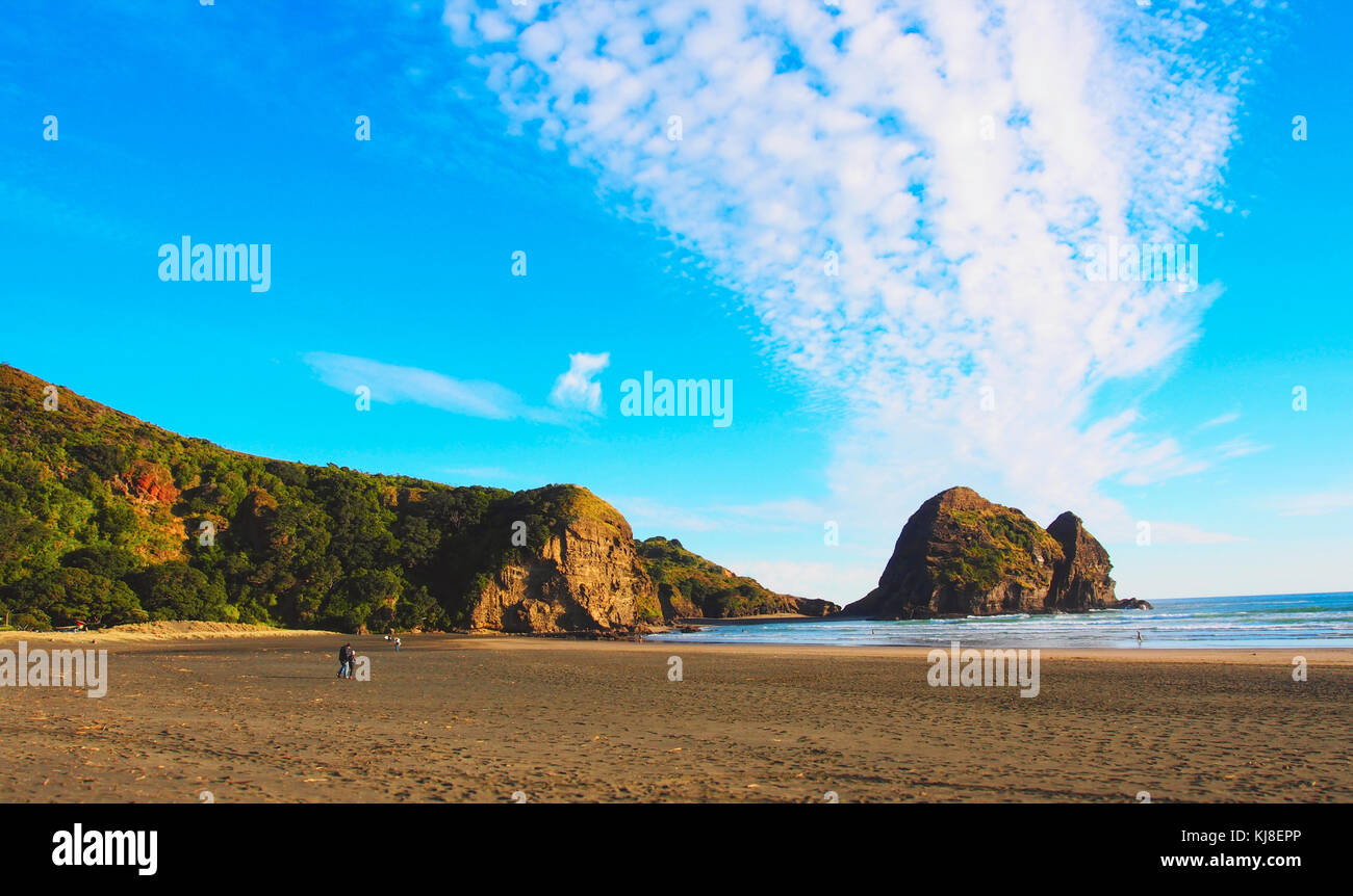 view of Piha beach, New Zealand north island Stock Photo - Alamy