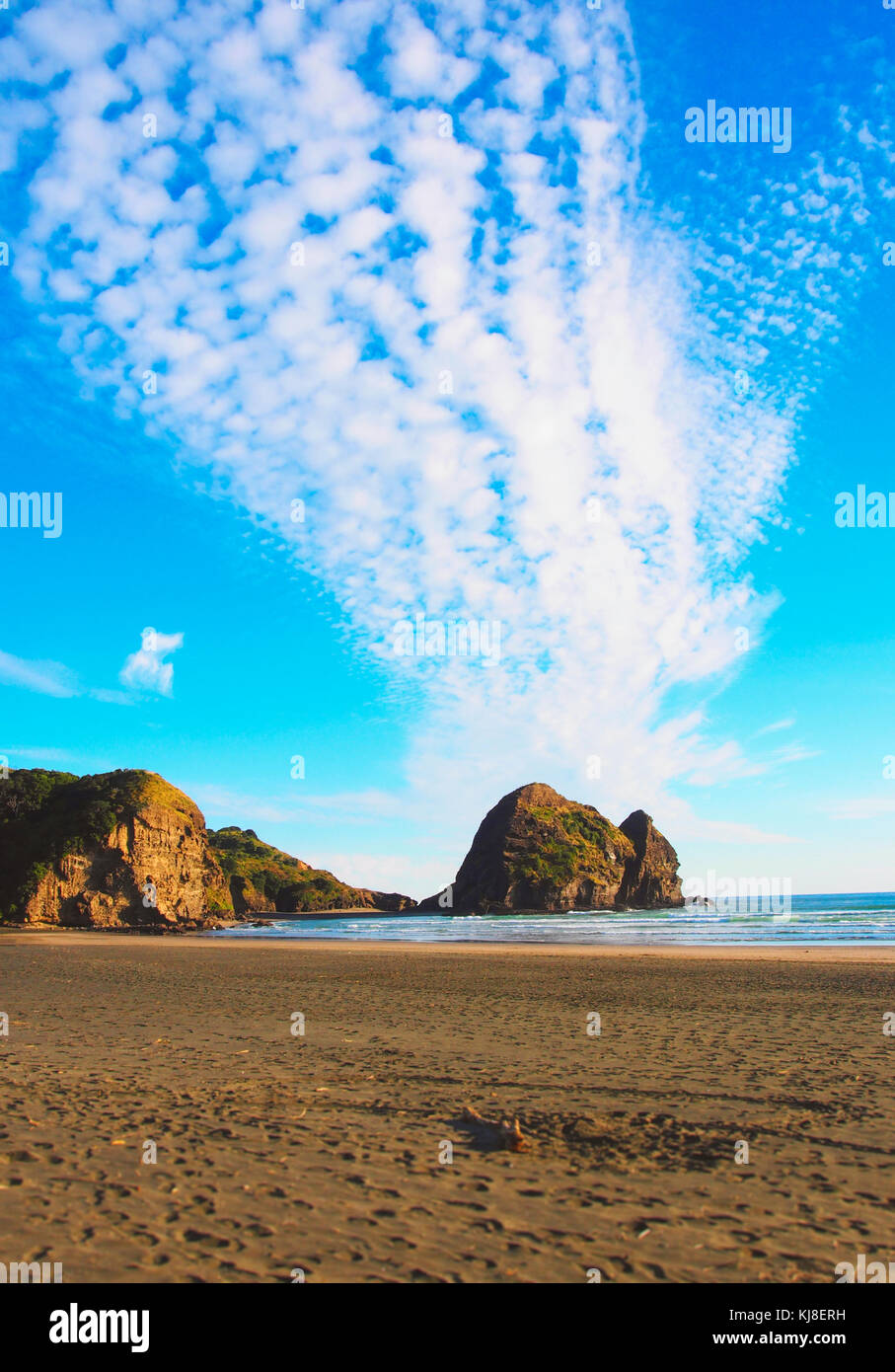 view of Piha beach, New Zealand north island Stock Photo - Alamy