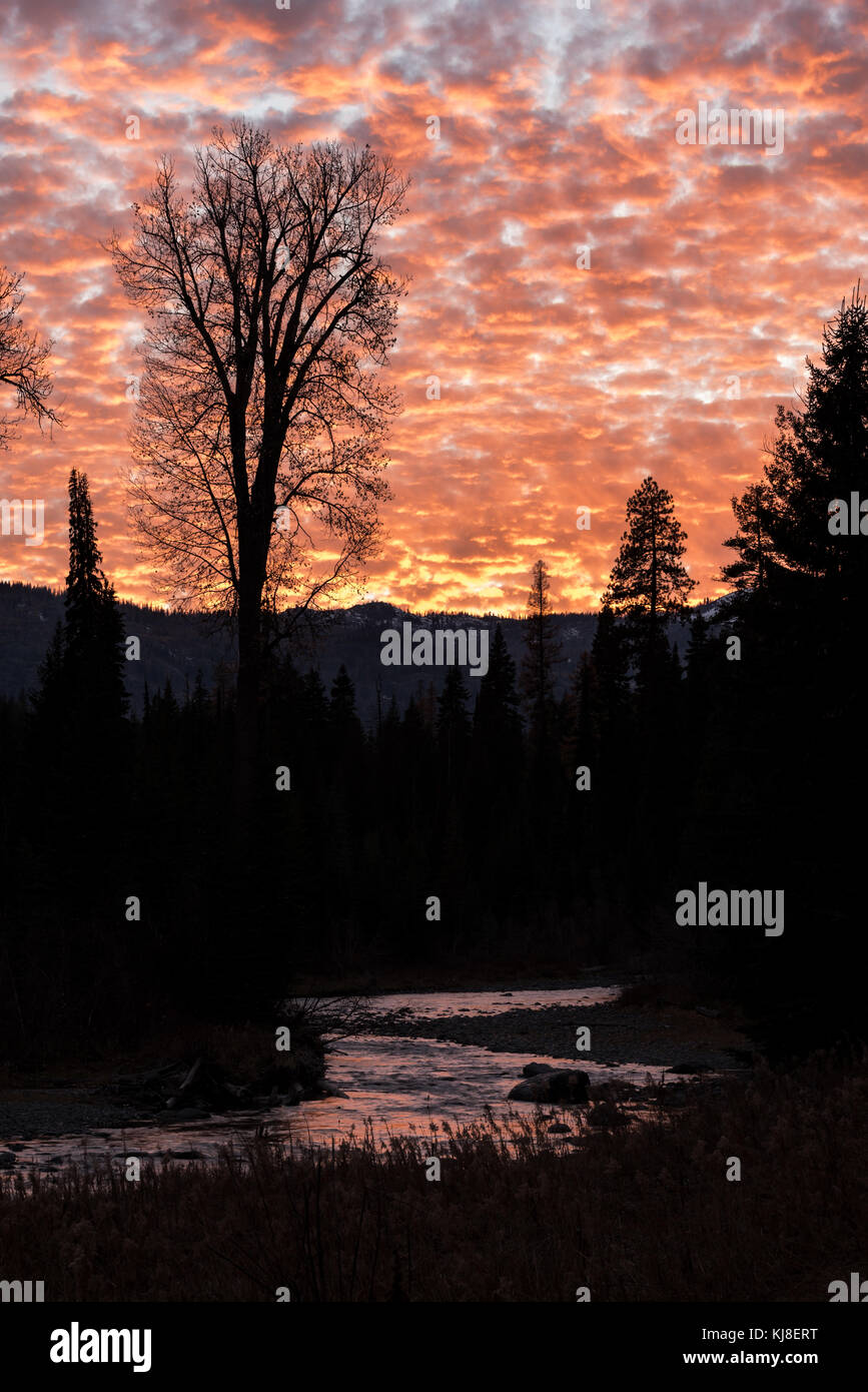 The Imnaha River at sunset, Wallowa Mountains, Oregon Stock Photo - Alamy