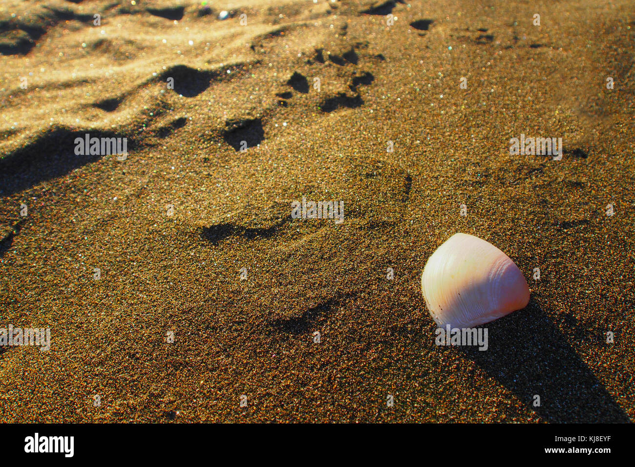Washed up eroded hi-res stock photography and images - Alamy