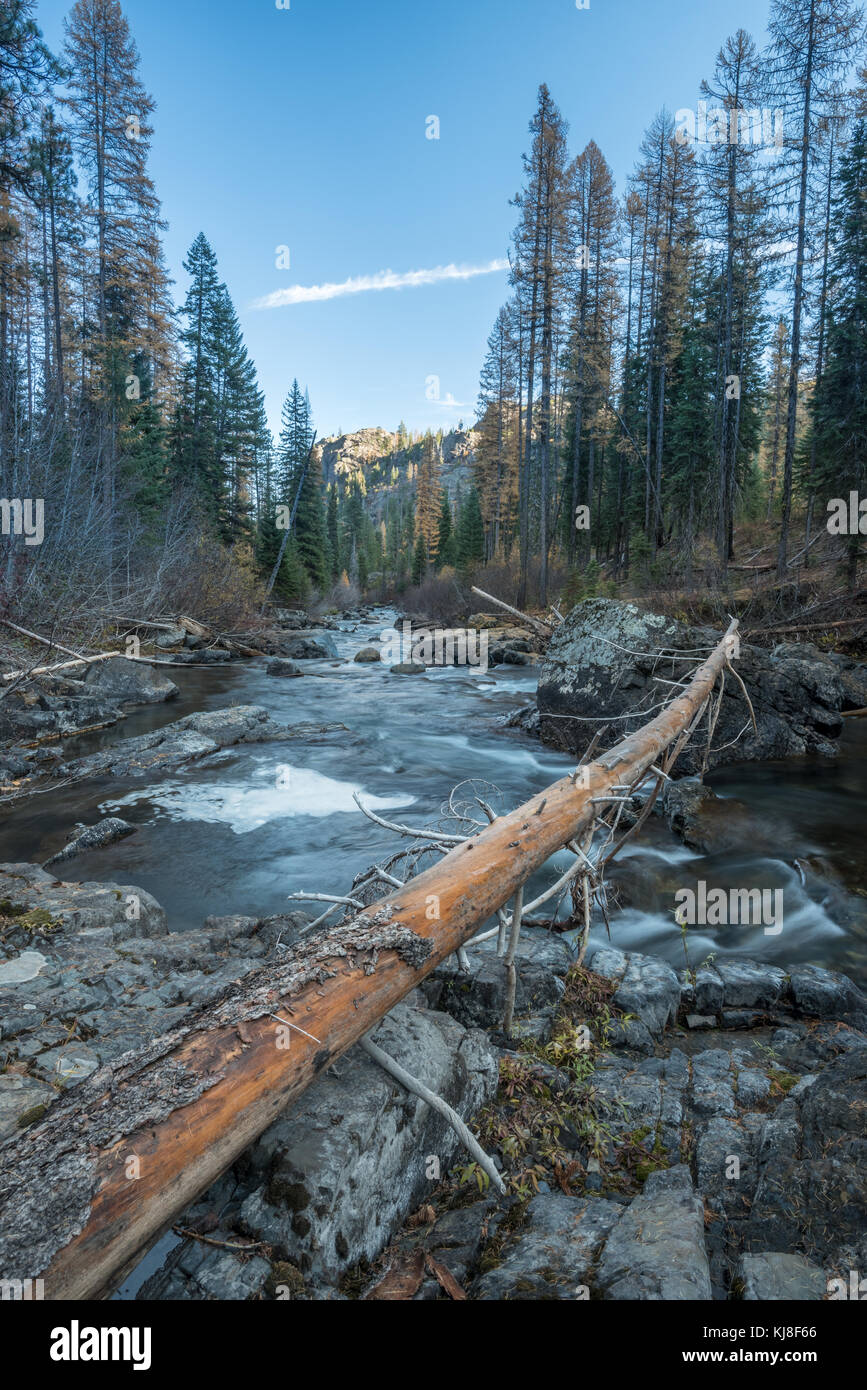 Fallen tree across the Imnaha River in Oregon's Wallowa Mountains Stock ...