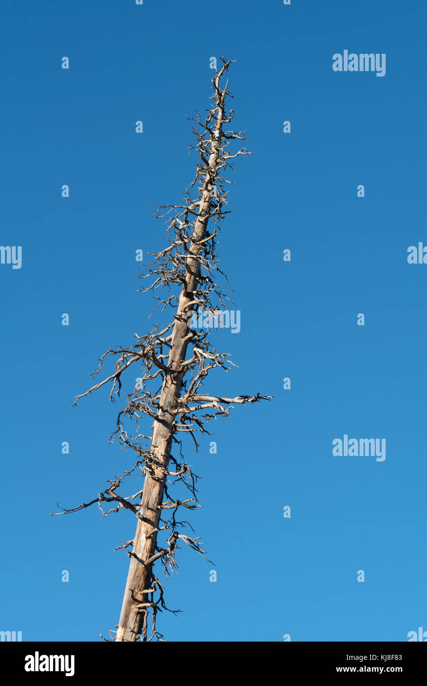 Dead mountains wilderness area hi-res stock photography and images - Alamy