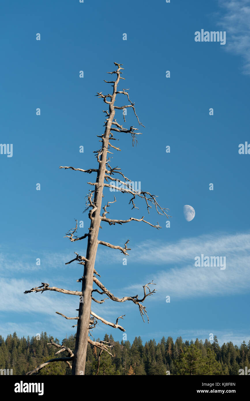 Dead mountains wilderness area hi-res stock photography and images - Alamy