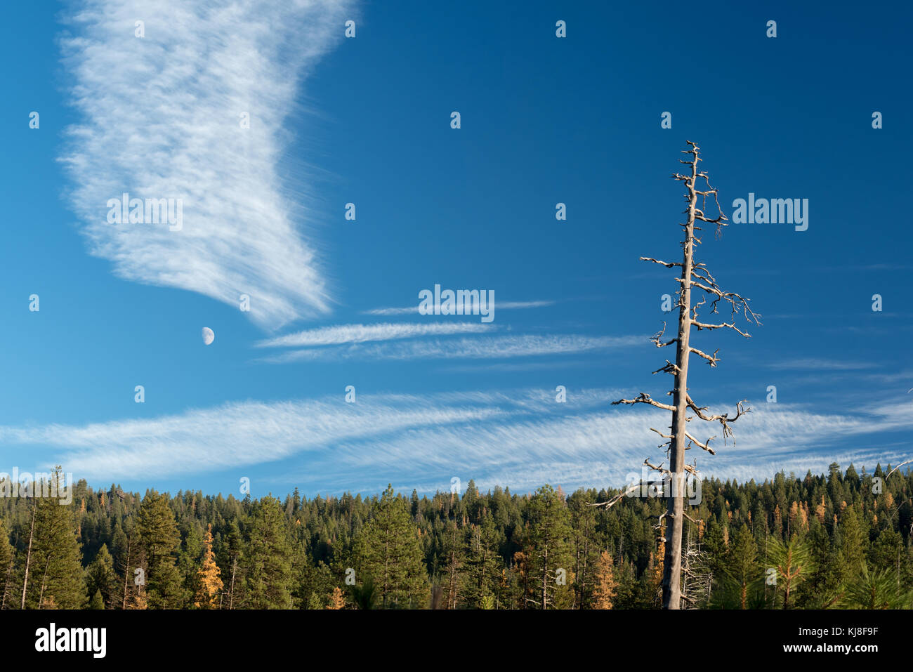 Dead mountains wilderness area hi-res stock photography and images - Alamy