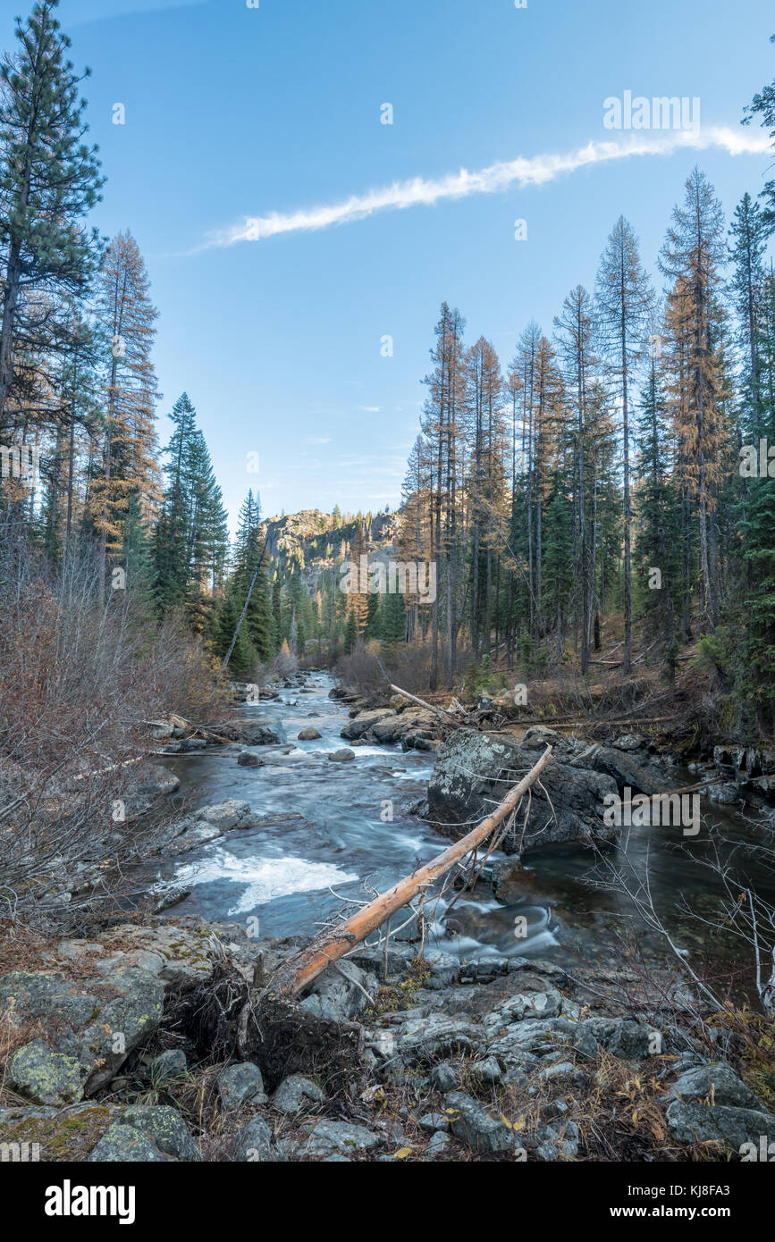 Fallen tree across the Imnaha River in Oregon's Wallowa Mountains Stock ...