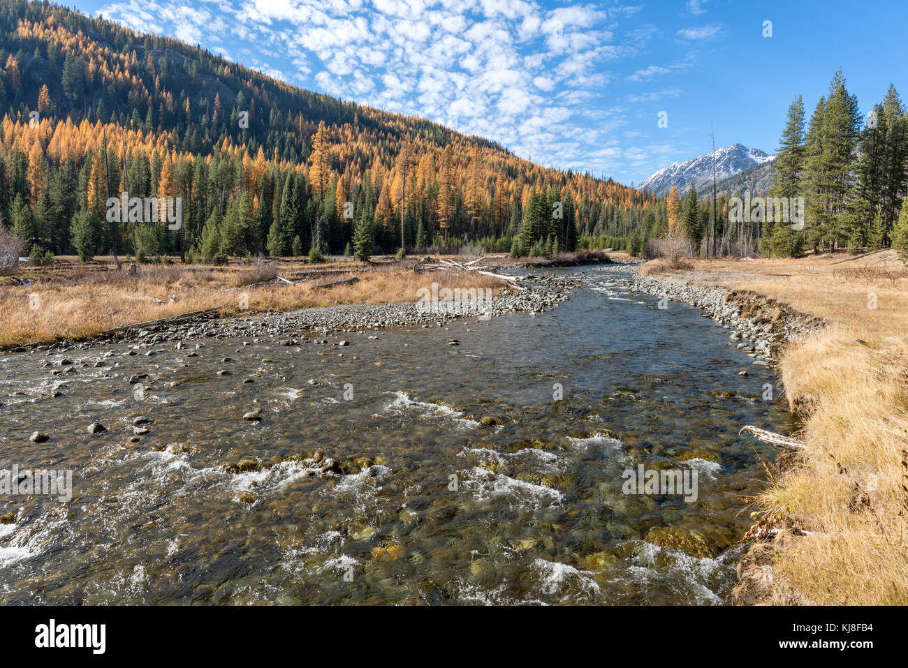 Imnaha River in autumn, Wallowa Mountains, Oregon Stock Photo - Alamy