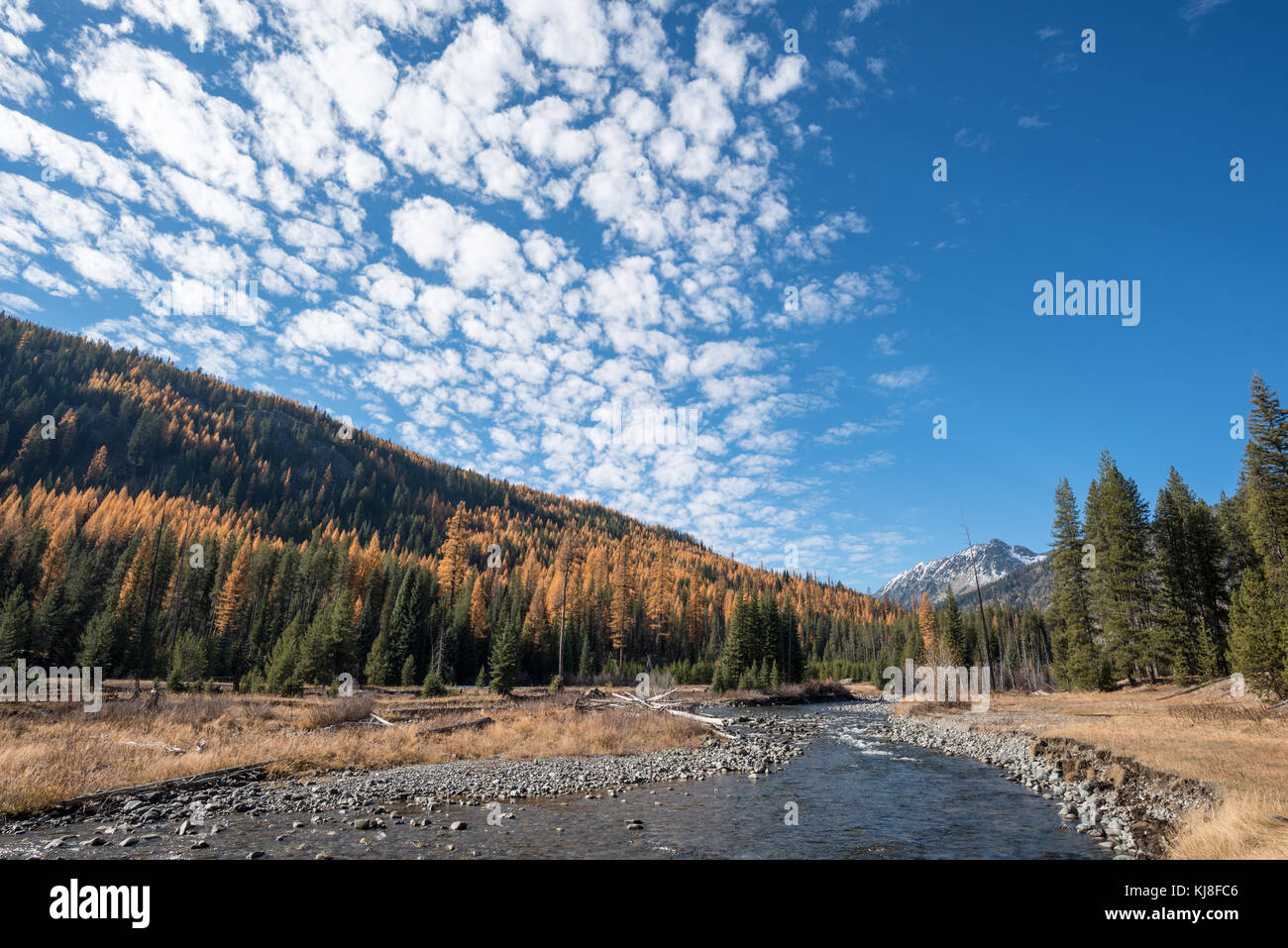 Imnaha River in autumn, Wallowa Mountains, Oregon Stock Photo - Alamy
