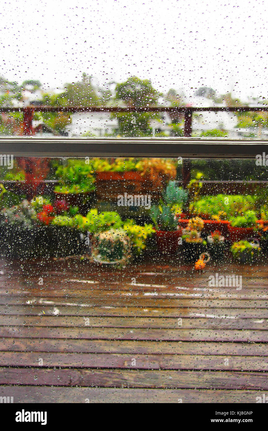 Lawn raindrops hi-res stock photography and images - Alamy
