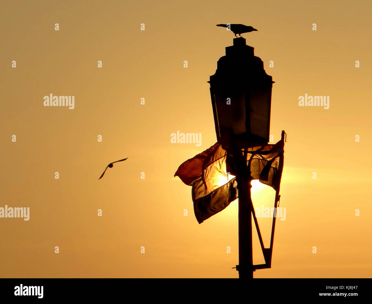 Flying indian flag hi-res stock photography and images - Alamy