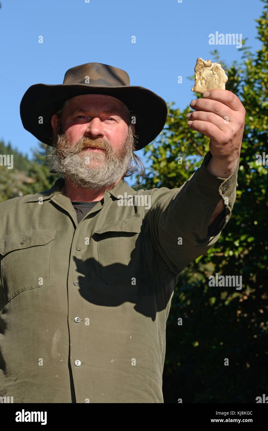 A prospector holds up a specimen of an alluvial gold nugget. Focus on ...