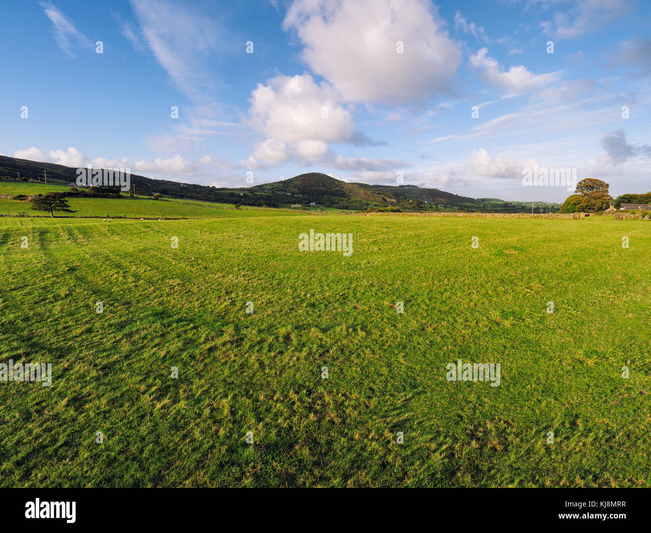 Early Autumn countryside morning,Northern Ireland Stock Photo - Alamy