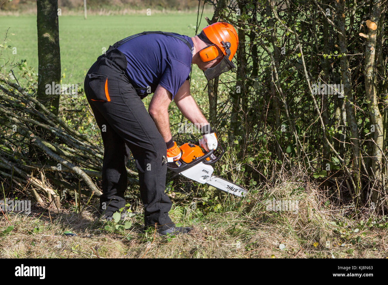 Hedge laying championships hi-res stock photography and images - Alamy