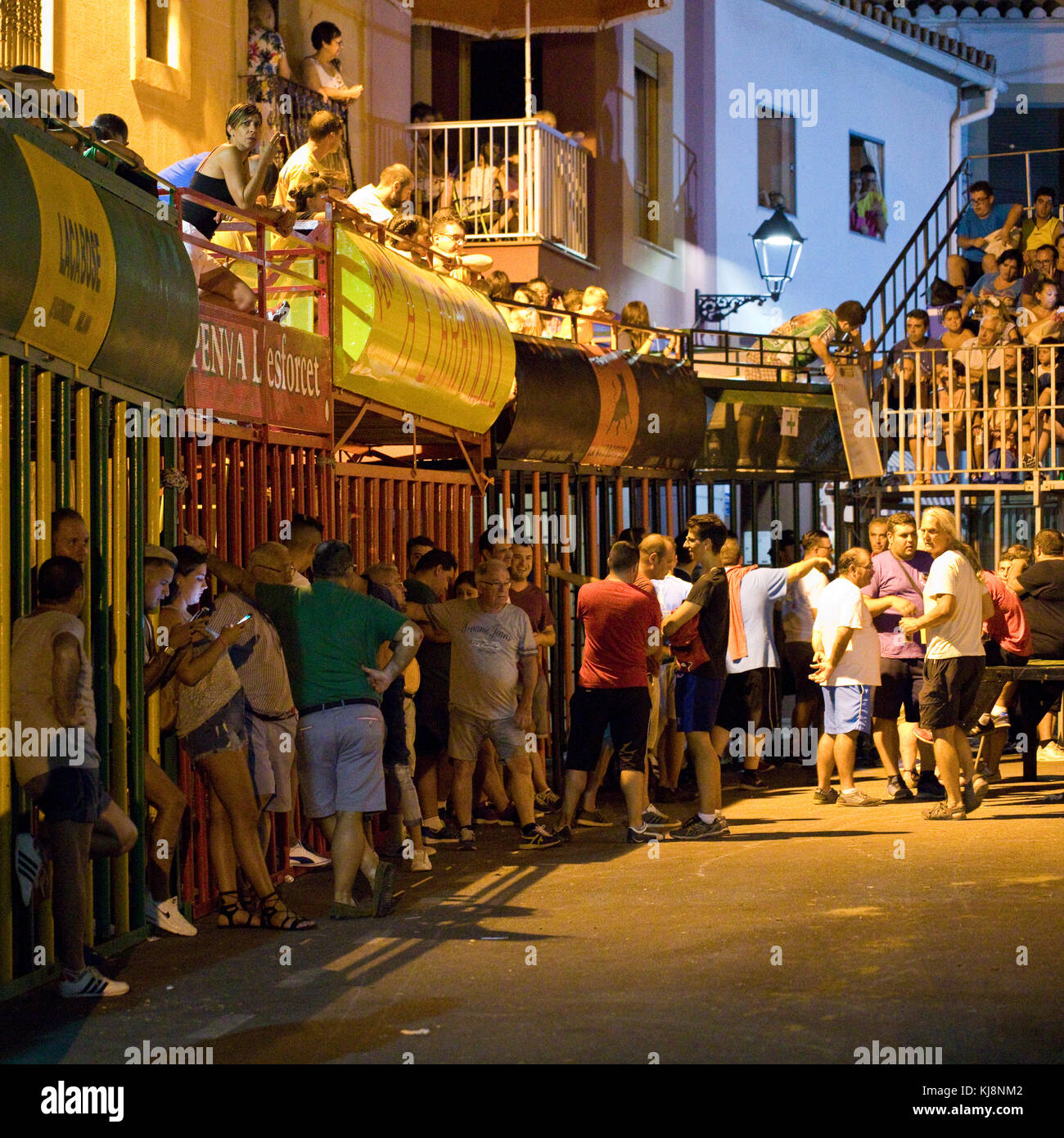Bull run in Orba, Spain Stock Photo - Alamy