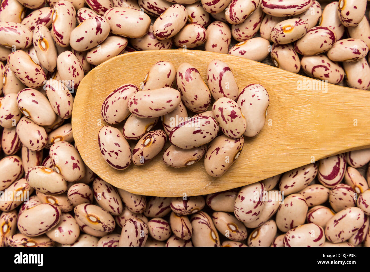 Frijol phaseolus vulgaris hi-res stock photography and images - Alamy