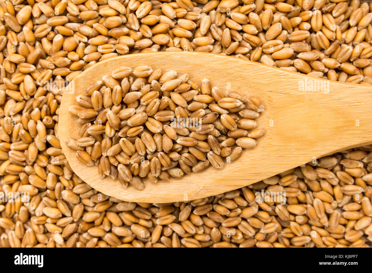 Cereal trigo hi-res stock photography and images - Alamy