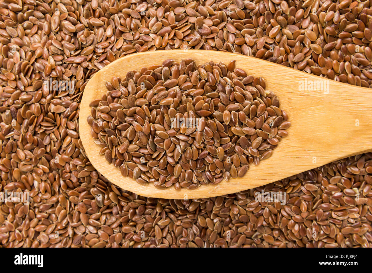 Linum usitatissimum is scientific name of Brown Flax seed. Also known as Linseed, Flaxseed and ...