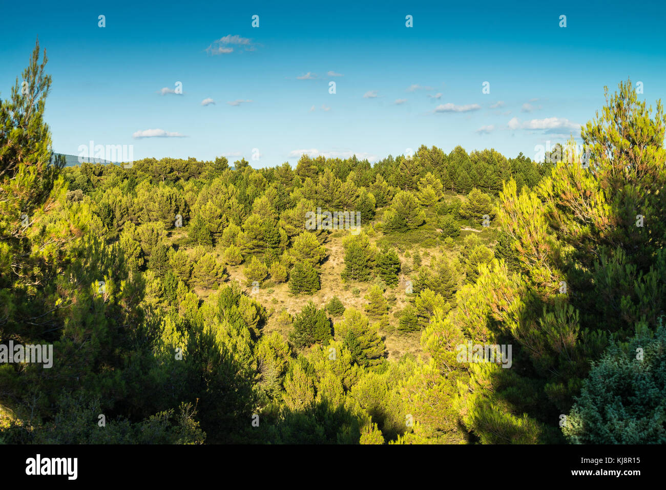 Landscape around Mount Ventoux, Provence, France, Europe Stock Photo ...