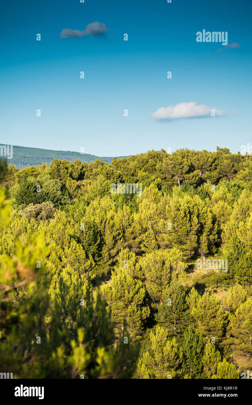 Landscape around Mount Ventoux, Provence, France, Europe Stock Photo ...