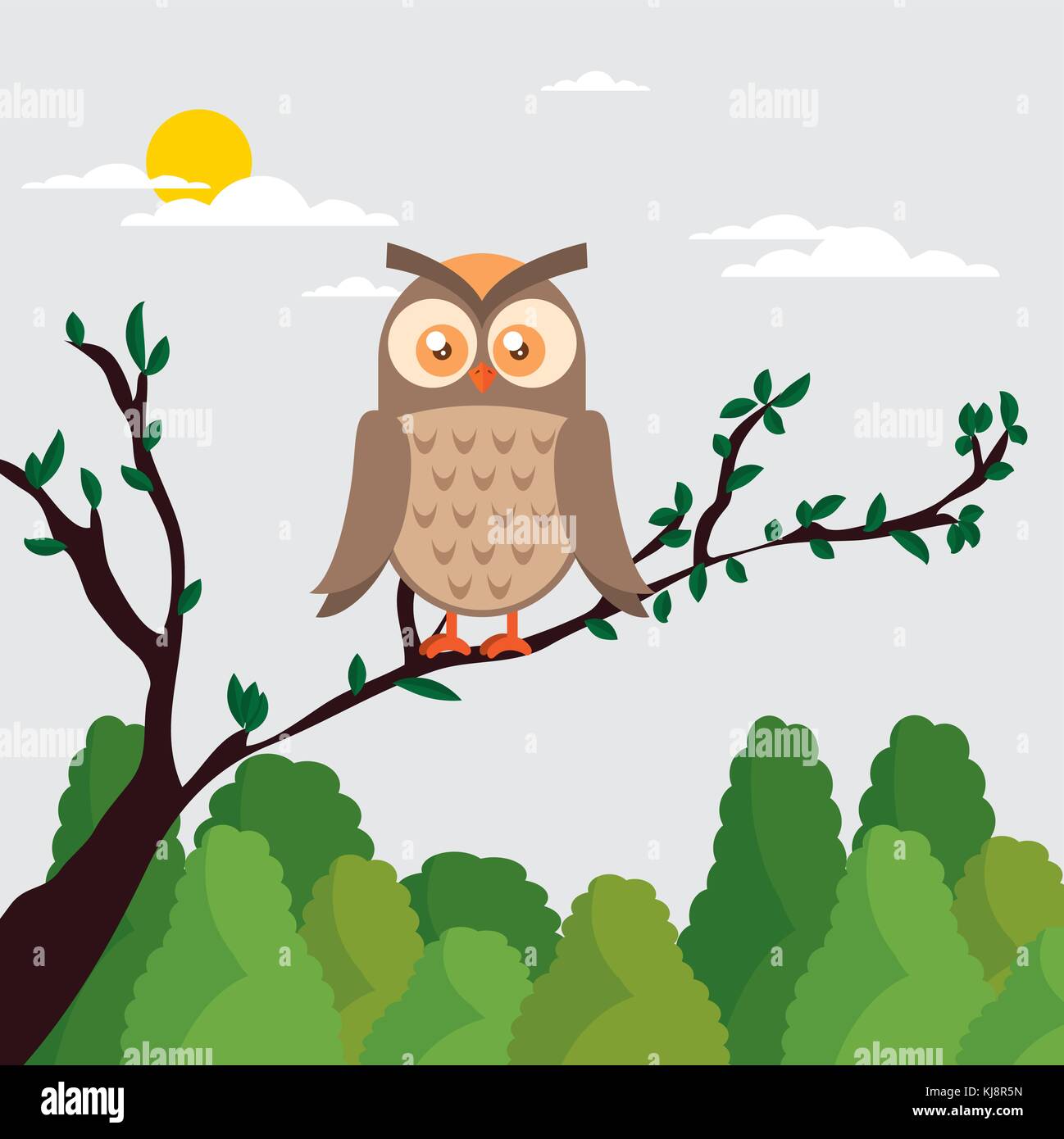 Little owl side view Stock Vector Images - Alamy