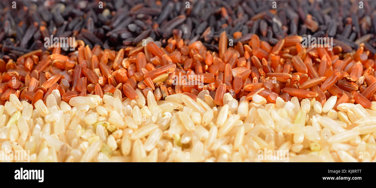 Rice collection isolated on white background, Jasmine, Brown, Mixed and ...