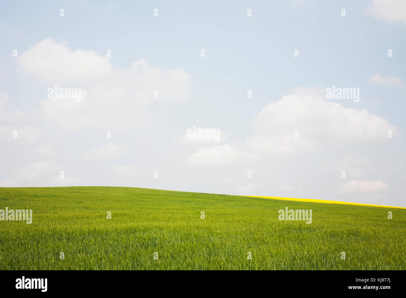 Agricultural landscape. Alberta Canada Stock Photo - Alamy