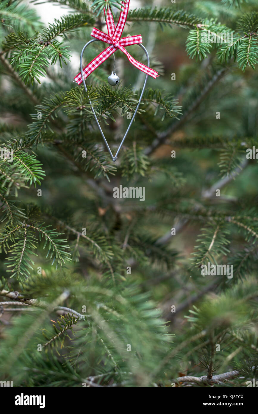 Christmas ornament heart shape on fir tree. Christmas fir tree and hart ...