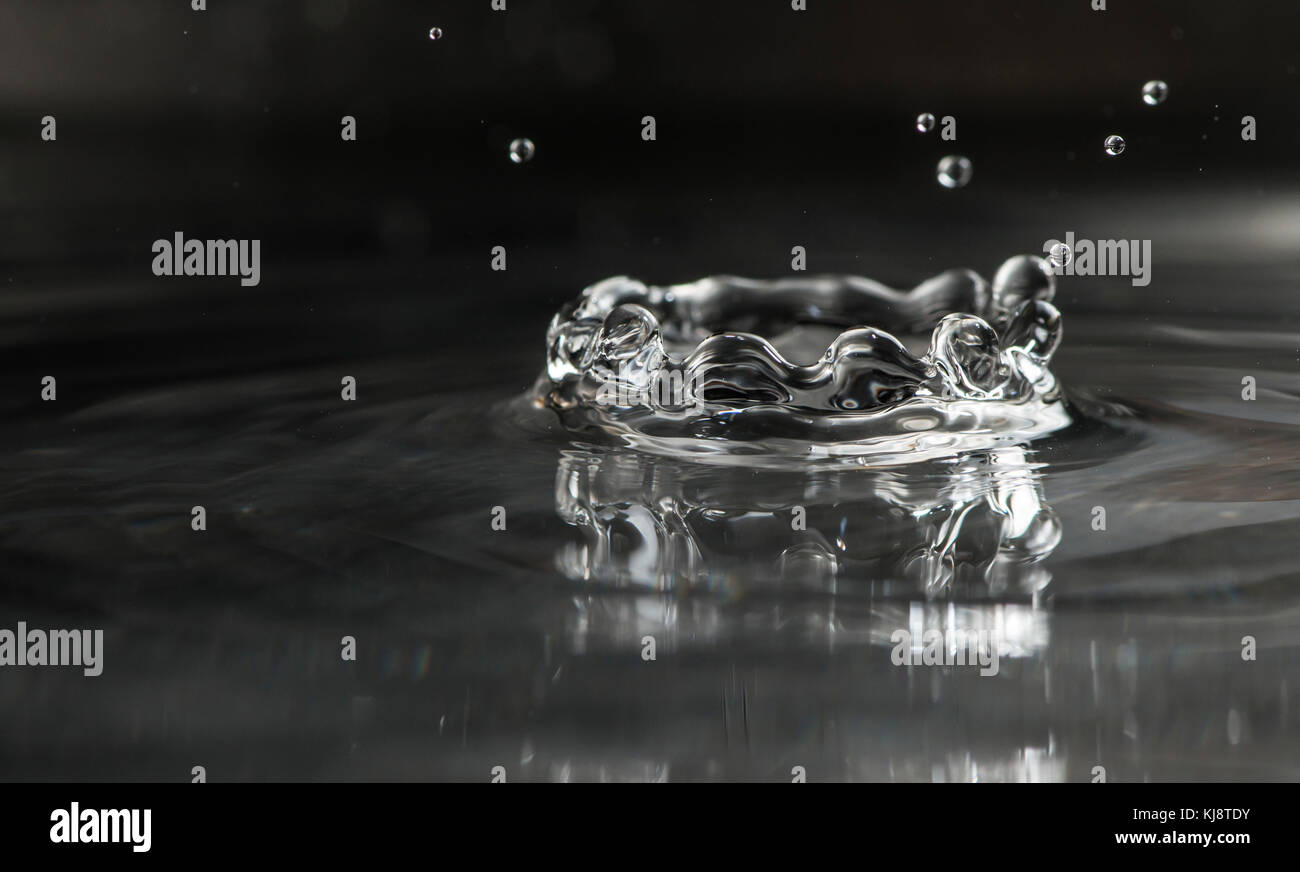 Splashing water drops. Water drop macro shot. Dark background Stock ...
