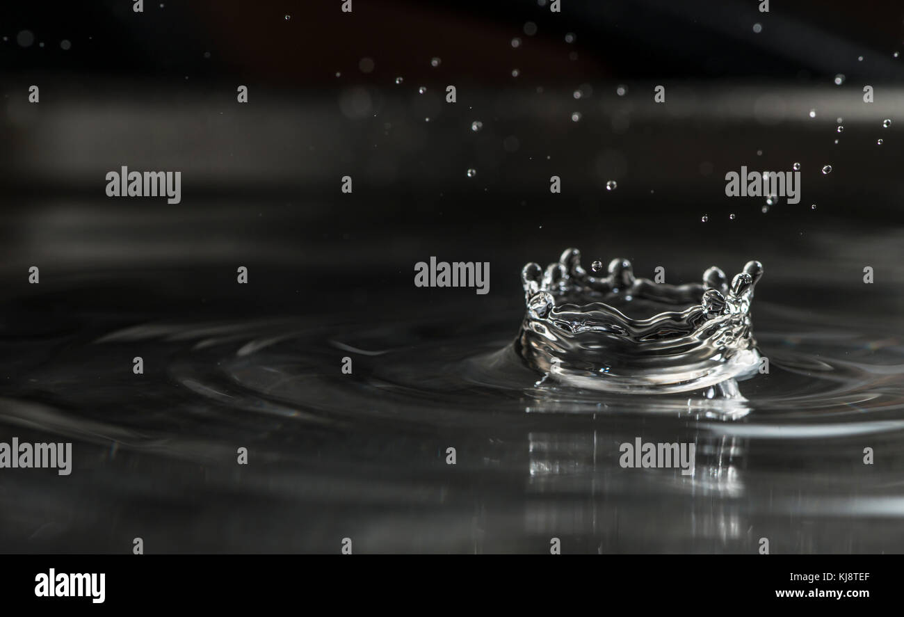 Splashing water drops. Water drop macro shot. Dark background Stock ...