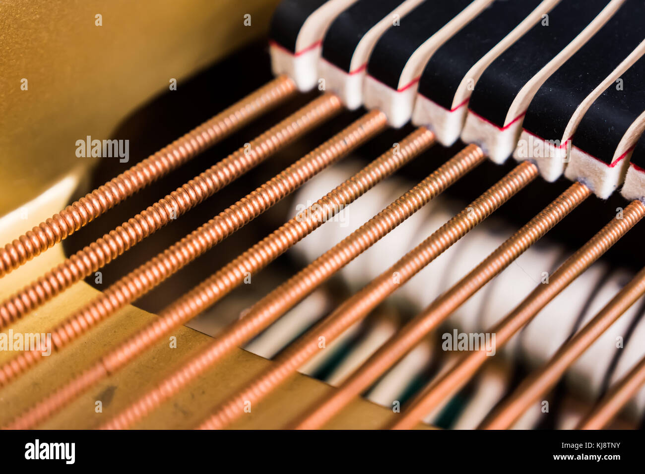 Hood strings hi-res stock photography and images - Alamy