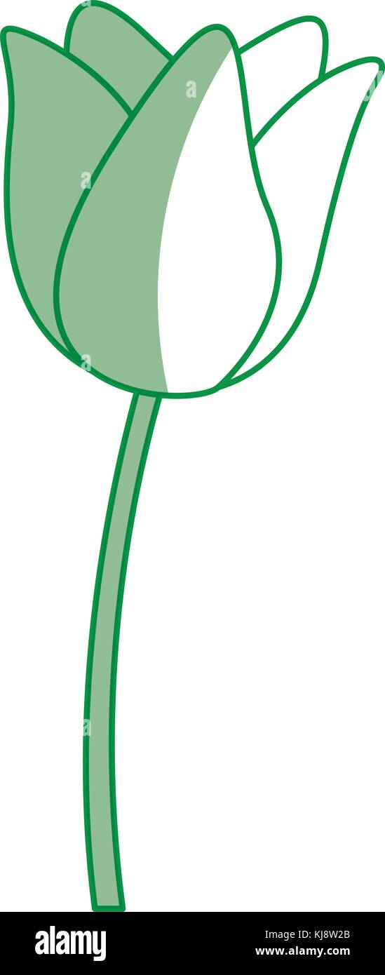 shadow green flower cartoon Stock Vector Image & Art - Alamy