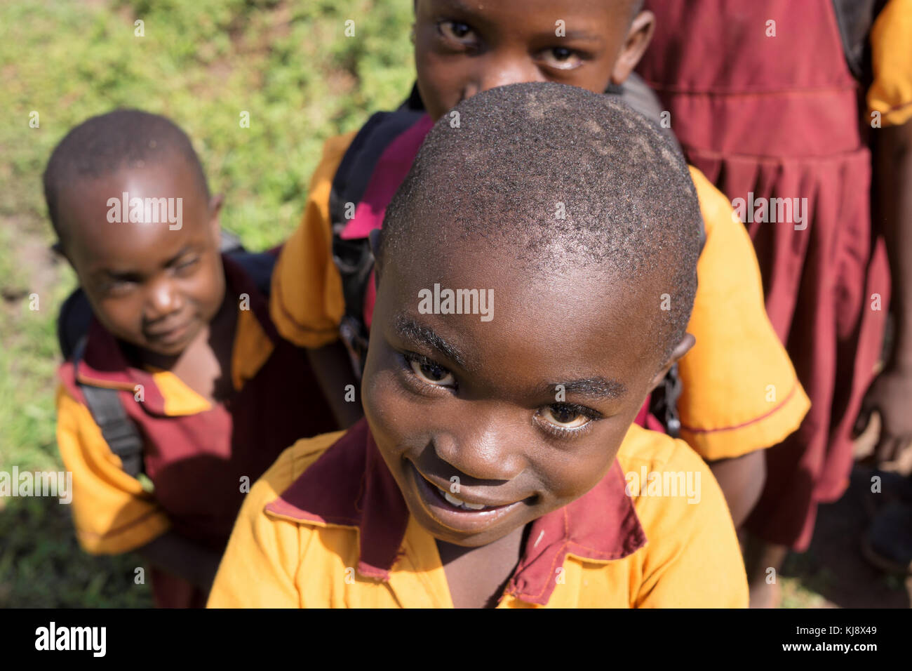 African school children at a primary school near Kasese, Western Uganda ...
