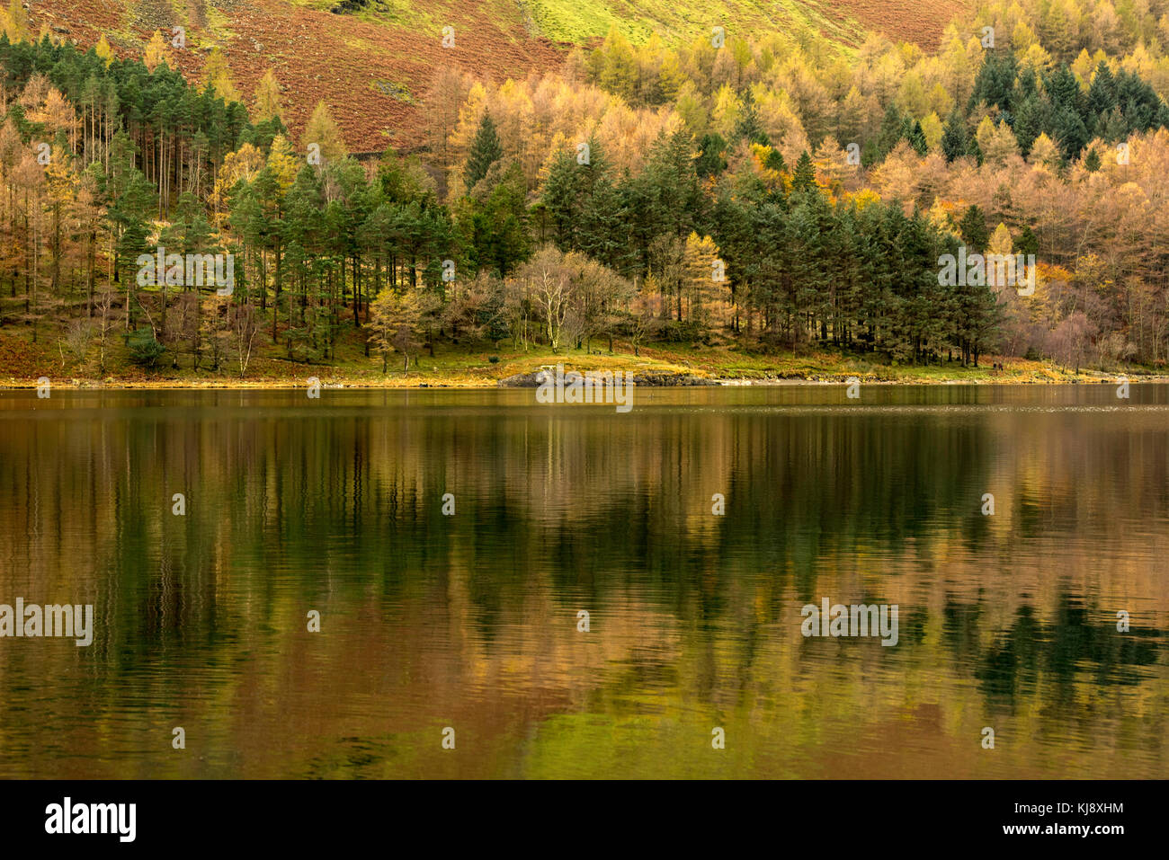 Autumn Reflections at Buttermere in the Lake District, Cumbria England ...
